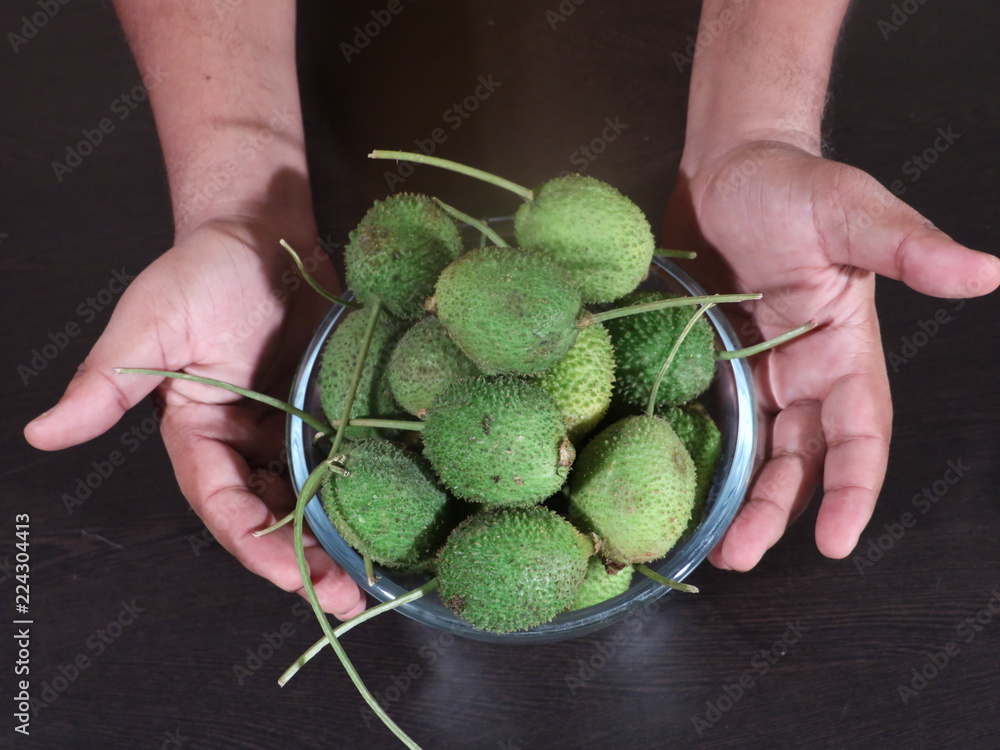 spiny gourd (Kantola),Spiny Gourd or Kantola vegetable isolated,Spiny ...