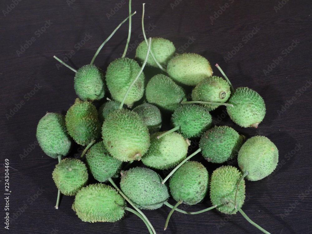 spiny gourd (Kantola),Spiny Gourd or Kantola vegetable isolated,Spiny ...