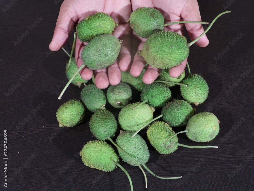 spiny gourd (Kantola),Spiny Gourd or Kantola vegetable isolated,Spiny ...