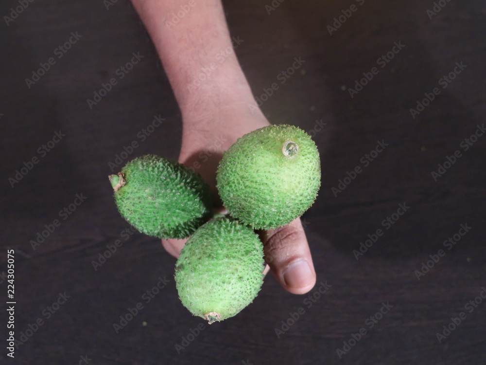 spiny gourd (Kantola),Spiny Gourd or Kantola vegetable isolated,Spiny ...