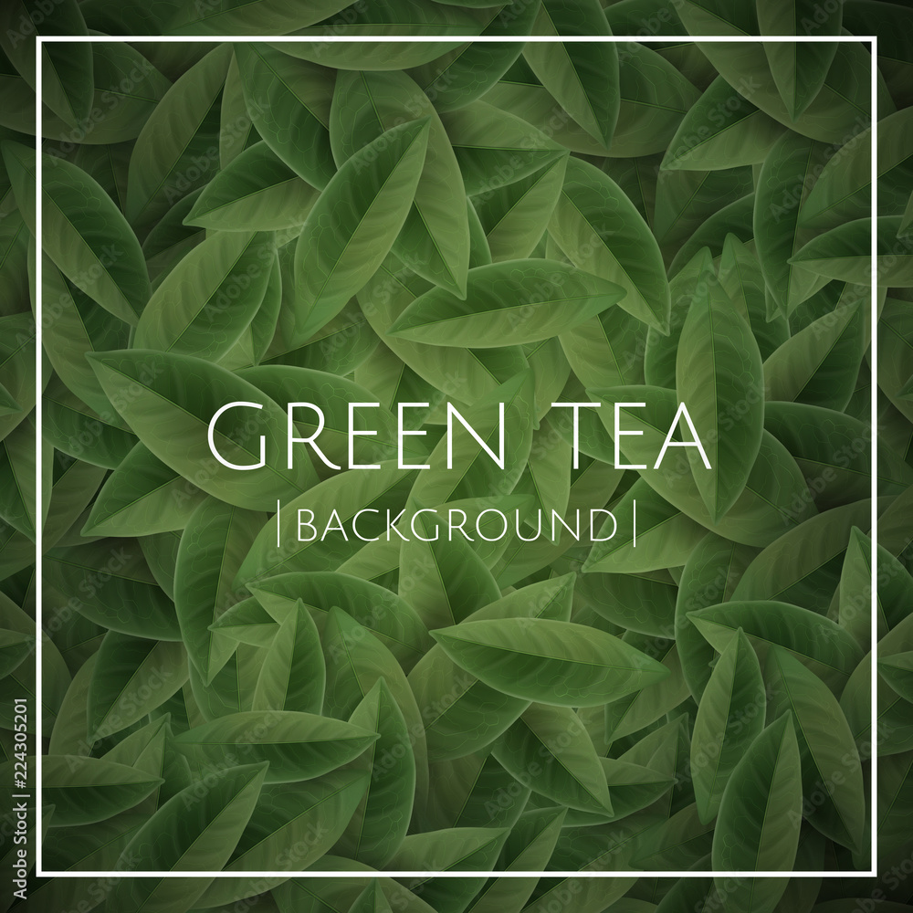 Green Tea Leaves Wallpaper