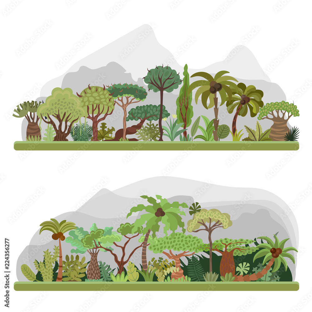 Tropical Rainforest Tree Clipart