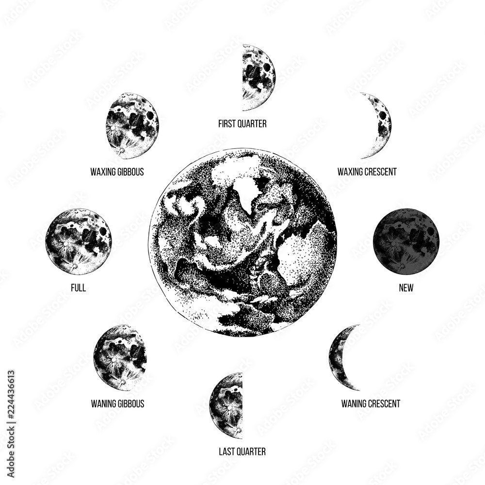 Moon phases illustration Stock Vector | Adobe Stock