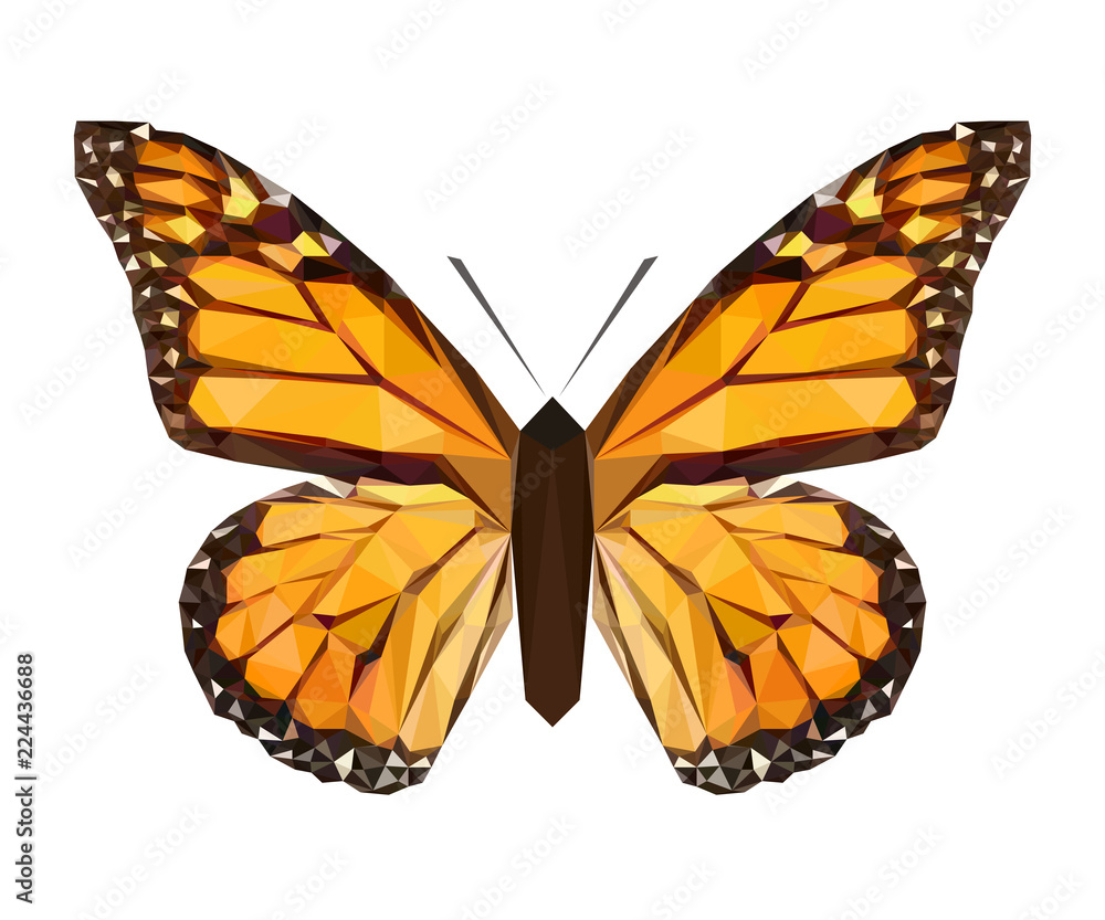 Vector polygonal butterfly isolated on white. Low poly illustration ...
