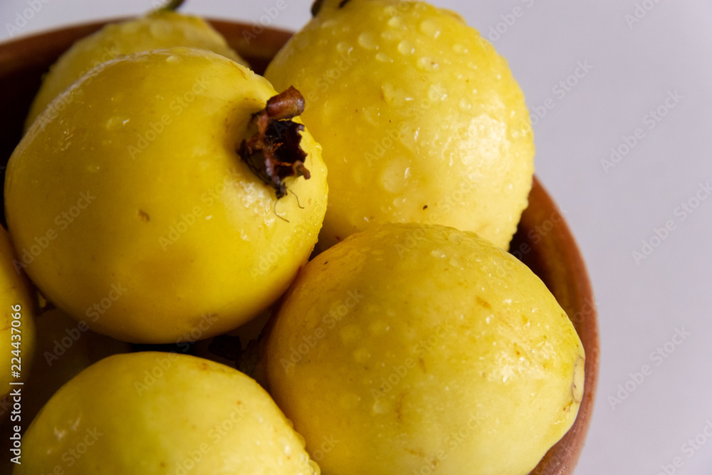 Fruta de guayaba en fondo blanco Stock Photo | Adobe Stock