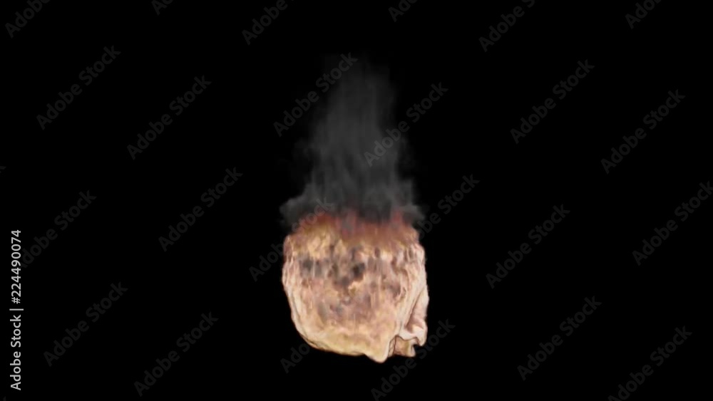 Vidéo Stock Animated human skull burning or engulf in flames and with ...