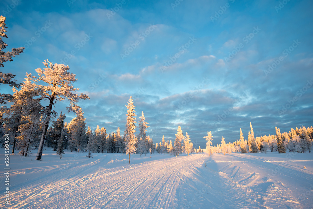 Snowy landscape, frozen trees in winter in Saariselka, Lapland, Finland ...