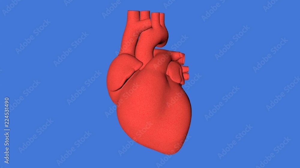 Beating human heart with green screen and copy-space for text. Heart ...