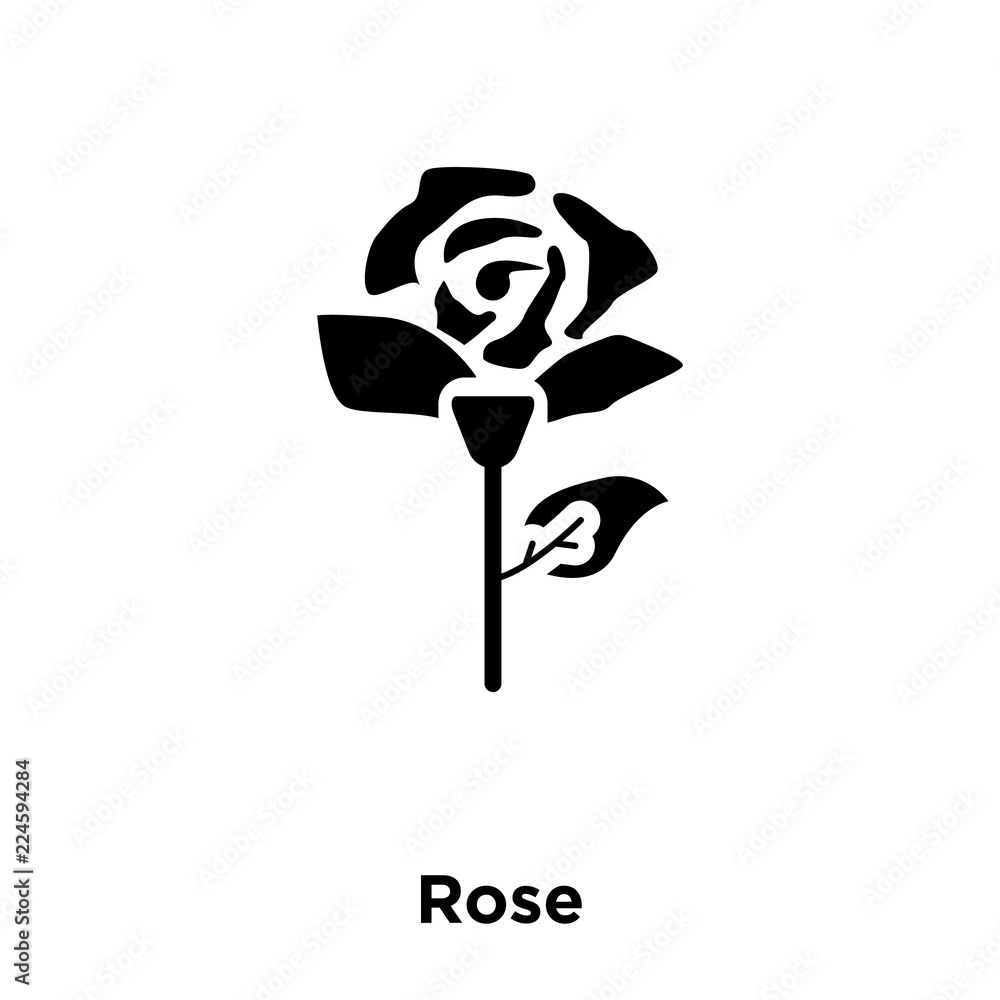 White Rose Symbol