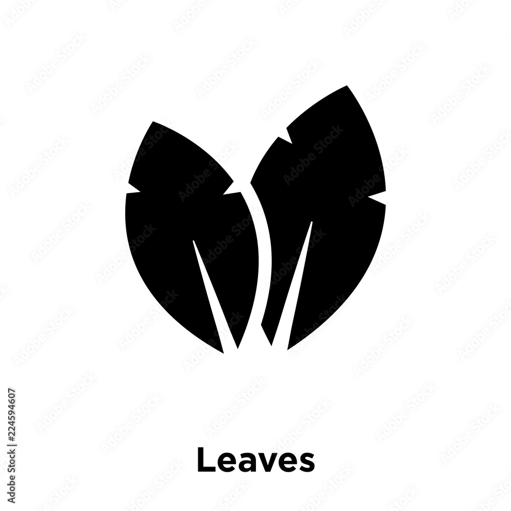 leaves icon vector isolated on white background, logo concept of leaves ...