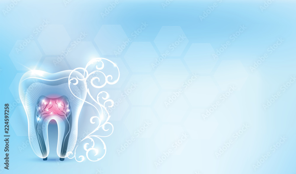 Beautiful clean artistic transparent tooth anatomy, with white abstract ...