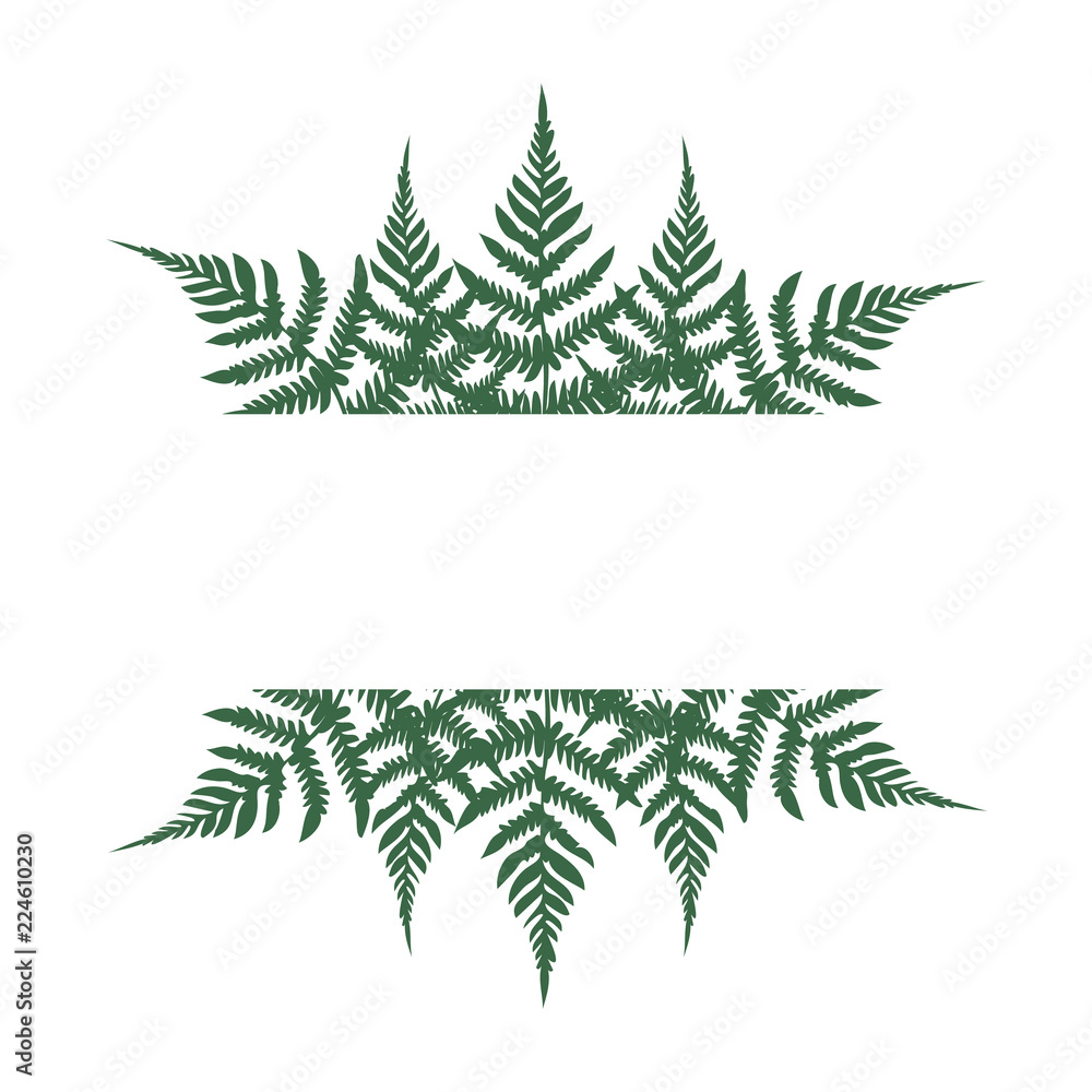Fern frond frame vector illustration. Border green plant leaves ...