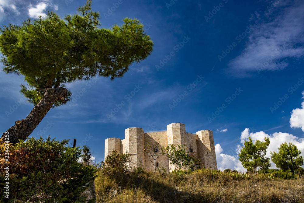 Castel del Monte, the famous and mysterious octagonal castle built in ...