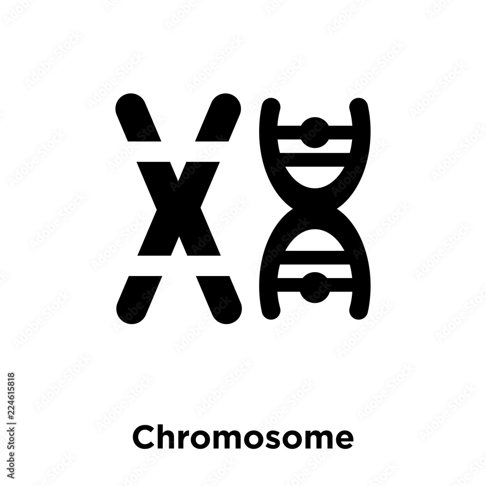 chromosome icon vector isolated on white background, logo concept of ...