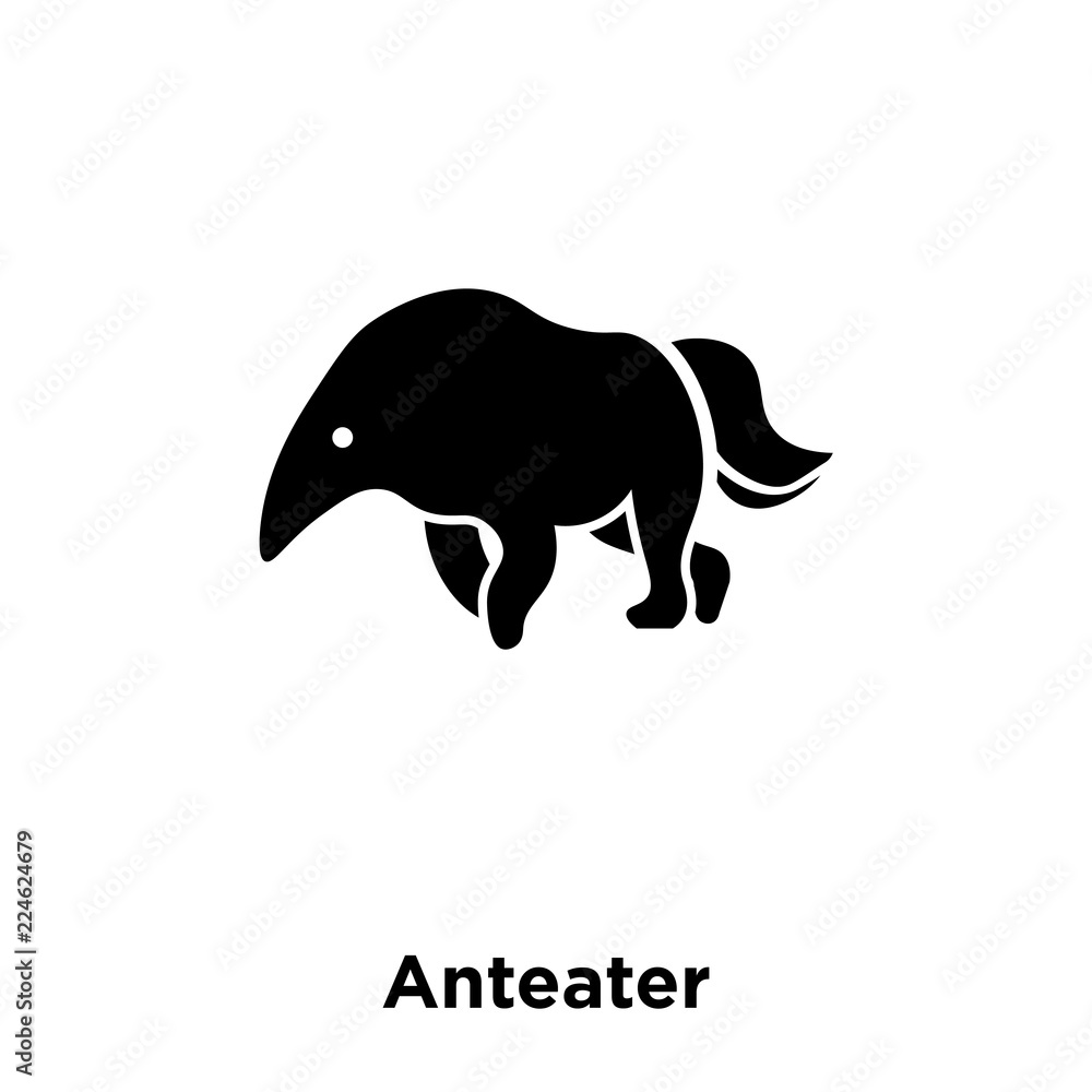 anteater icon vector isolated on white background, logo concept of ...