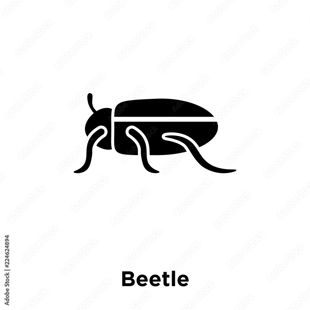 beetle icon vector isolated on white background, logo concept of beetle ...