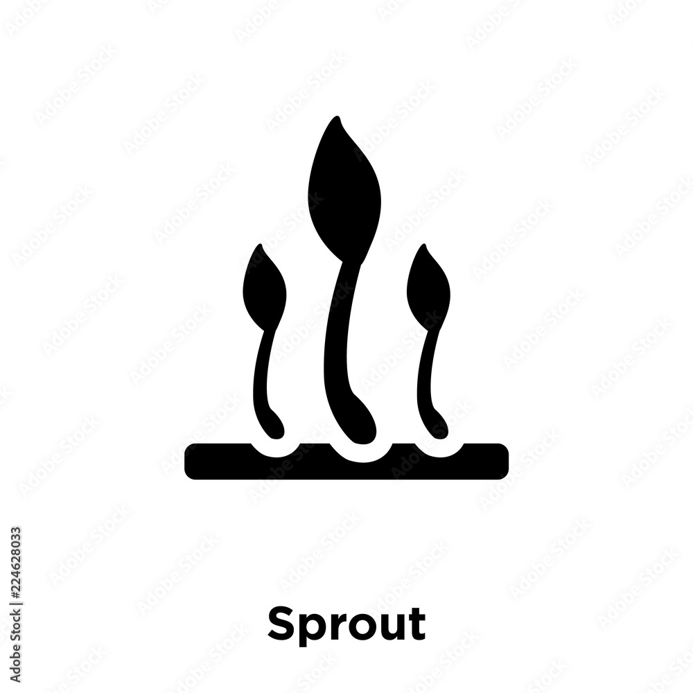 sprout icon vector isolated on white background, logo concept of sprout ...