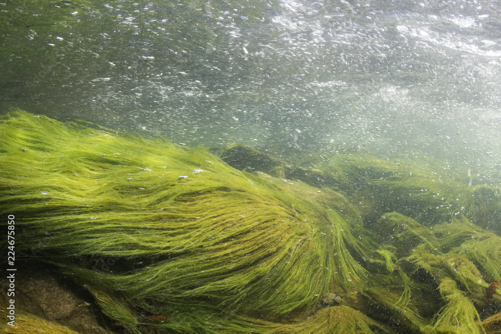 River underwater rocks on a shallow riverbed with clear water ...