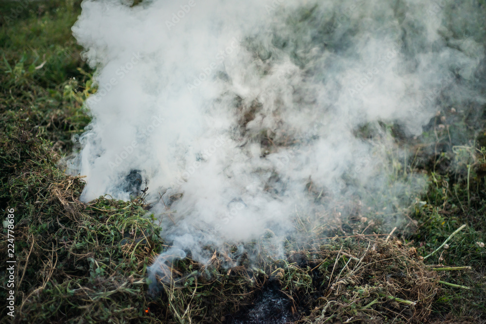 Smoke of a fading fire on the street. For use as a texture Stock Photo ...