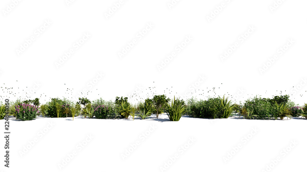 3d rendering of a group of plants raw for architectrural background use ...