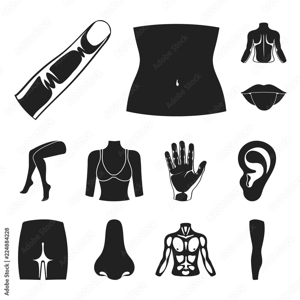 Part of the body, limb black icons in set collection for design. Human ...