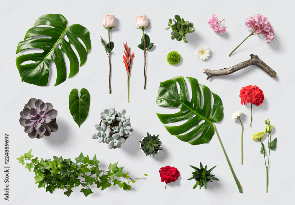 Floral and Plant Scene Kit Stock Template | Adobe Stock