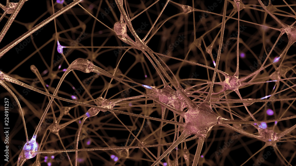 3D rendering of a network of neuron cells and synapses in the brain ...