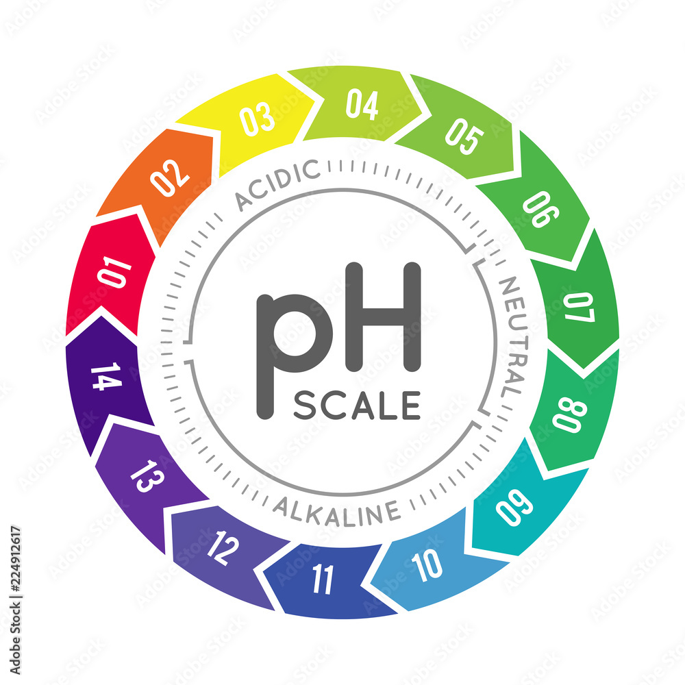pH meter for measuring acid alkaline balance. infographics in the ...