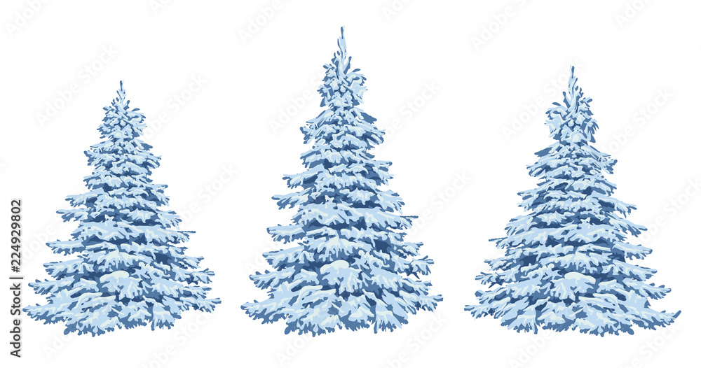 Winter trees in the snow. A set for Christmas design and decoration ...