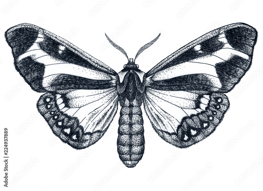 White Ink Butterfly Tattoo