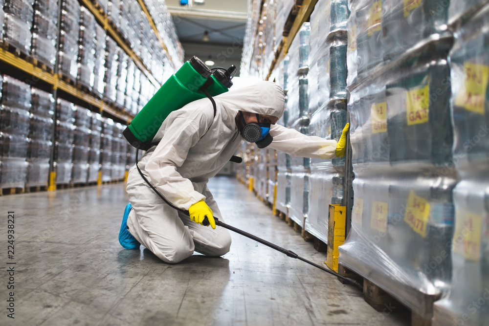 Pest Control Worker Hand Holding Sprayer For Spraying Pesticides in ...