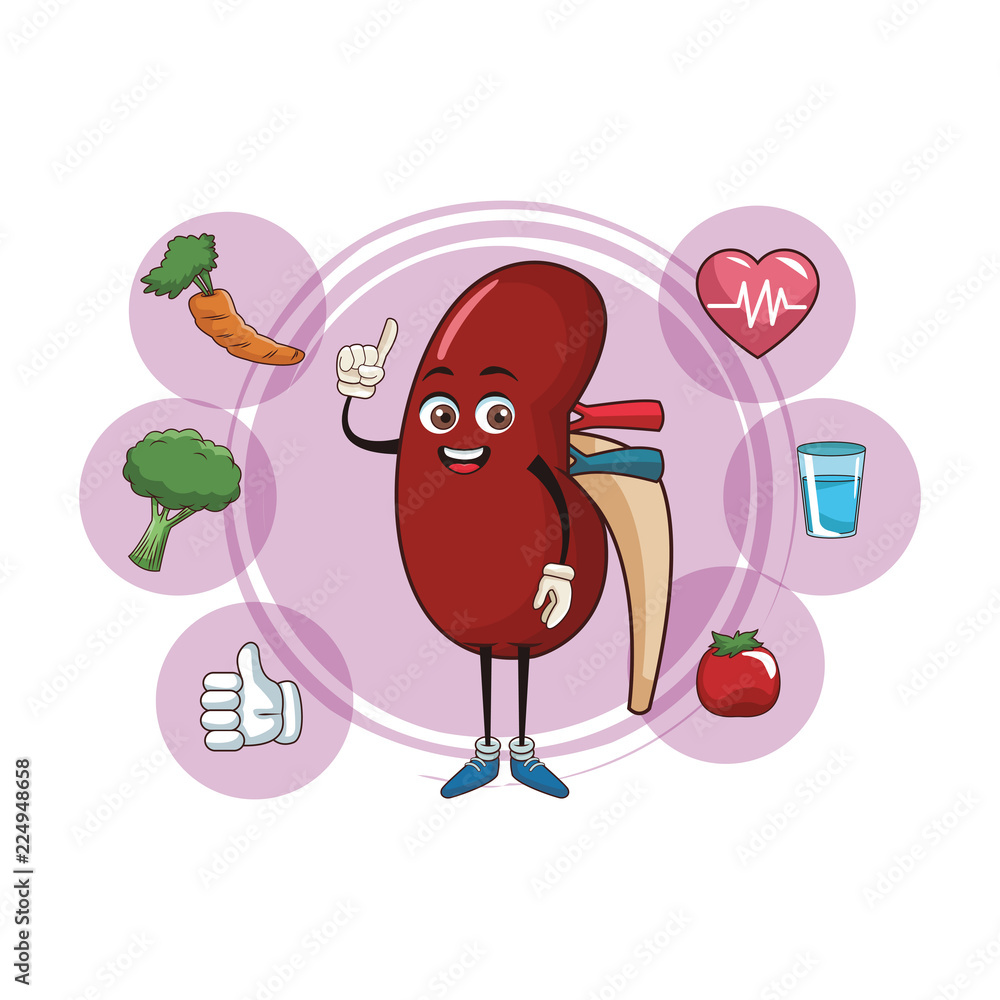 Kidney funny cartoon Stock Vector | Adobe Stock