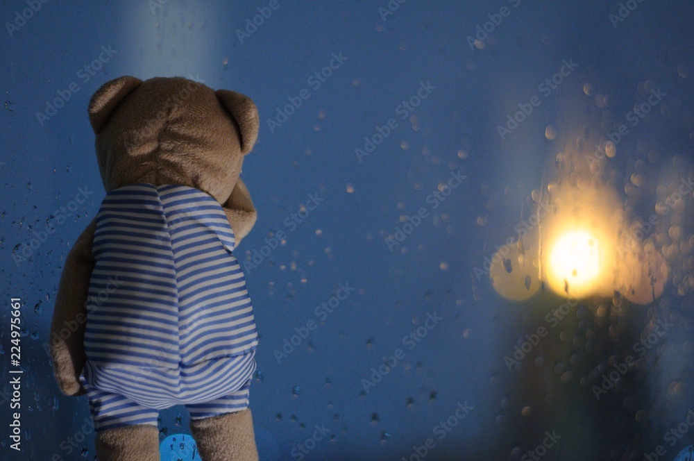 Lonely Teddy Bear In Rain