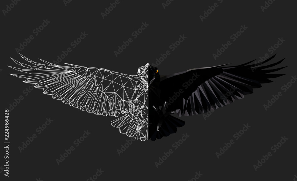 Raven in flight on grey background, low poly triangular and wireframe ...