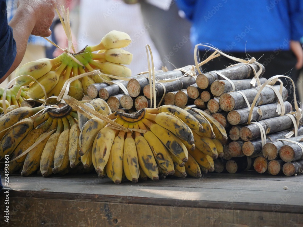 Pile of yellow ripe saba bananas and cut sugar cane ready for feeding ...