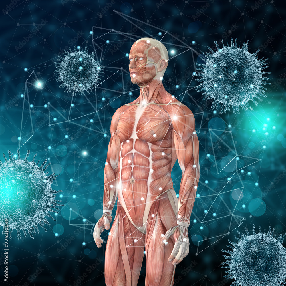3D medical background with male figure with muscle map and virus cells ...
