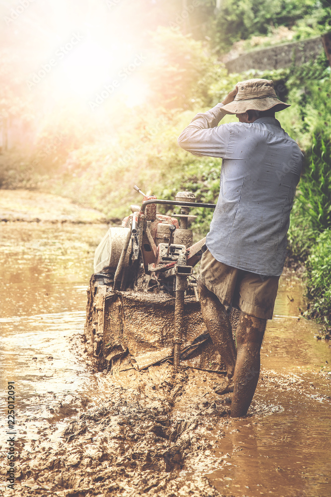 Indian man preparing the rice paddy fields with a hand rototiller ...