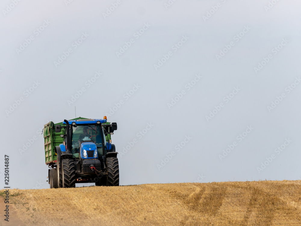Blue tractor with trailer on the harvest field. Summer field and blue ...