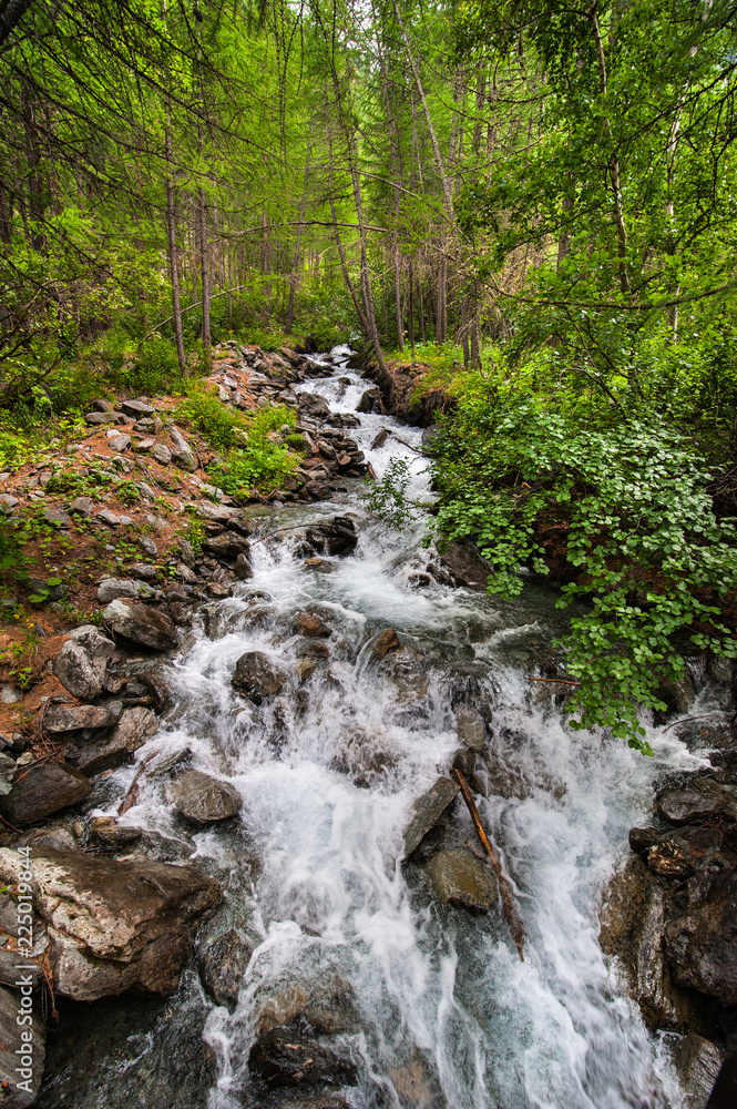 Small River with the Pure Water from the Glacier in wood the National ...
