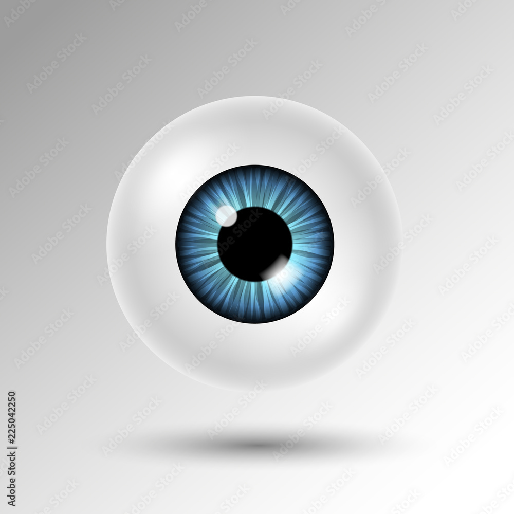 Vector 3d human eyeball with blue iris and shadow isolated on white ...