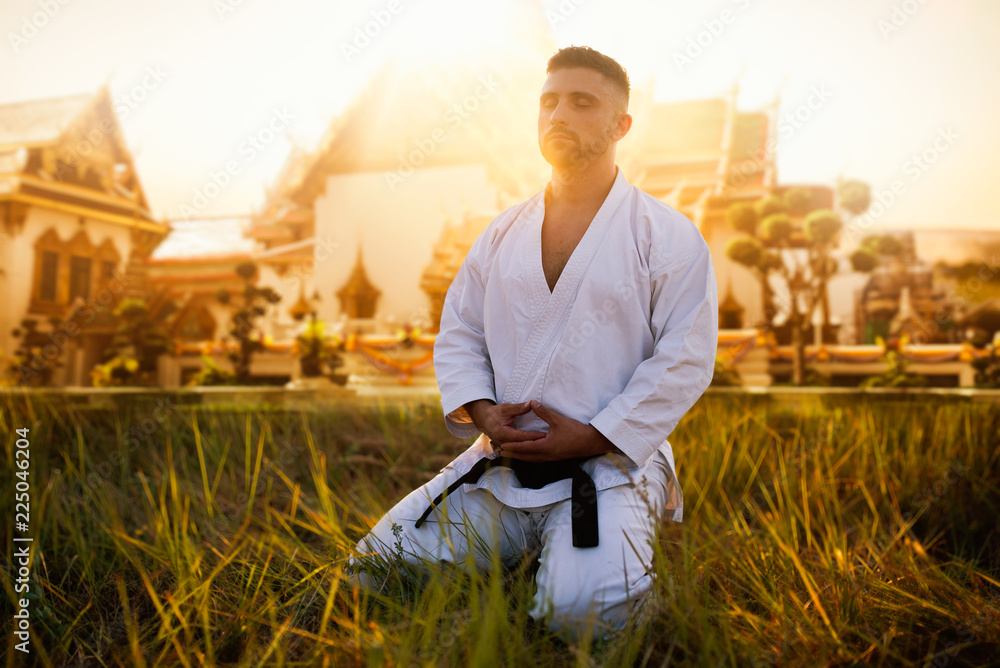 Male karate fighter against ancient temple Stock Photo | Adobe Stock