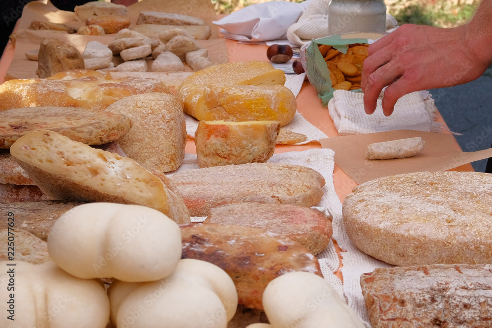 Diversity of varieties traditional domestic cheeses for sale on rural ...