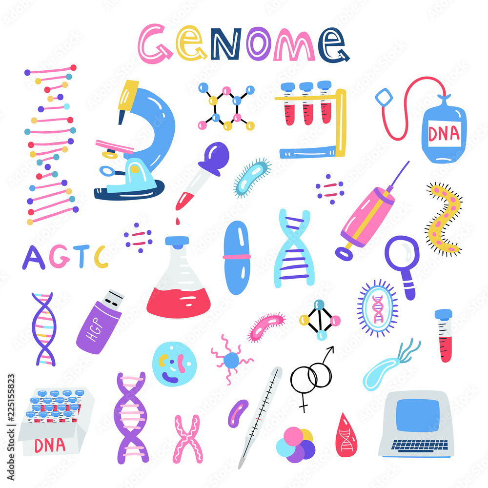 Hand drawn genome sequencing illustration. Human dna research ...