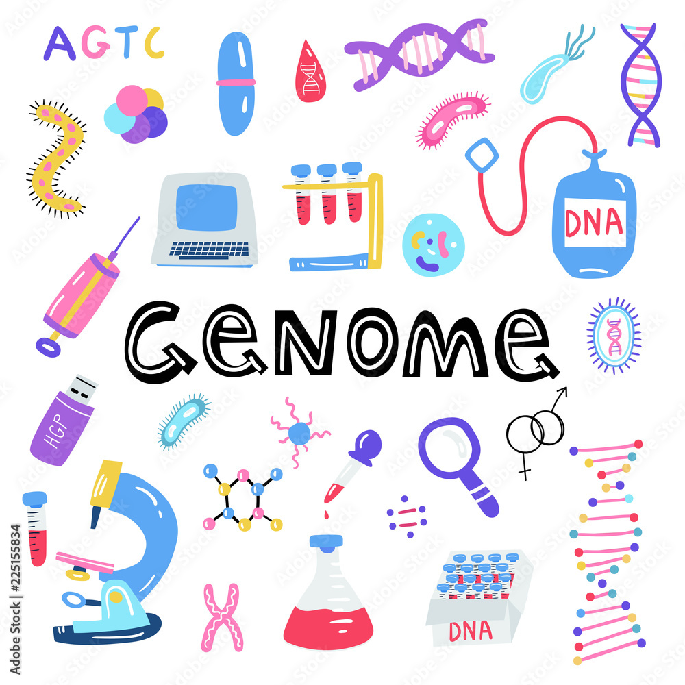 Hand drawn genome sequencing illustration. Human dna research ...