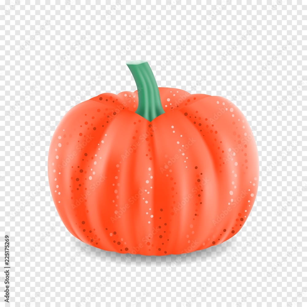 Cute vector pumpkin isolated on a transparent background. Soft color ...
