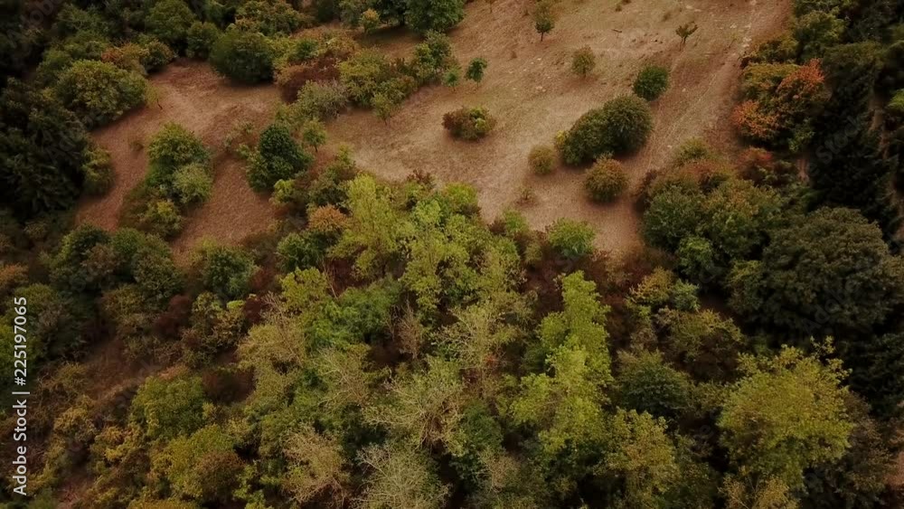 Aerial tracking shot over field with surrouding forest Stock Video ...