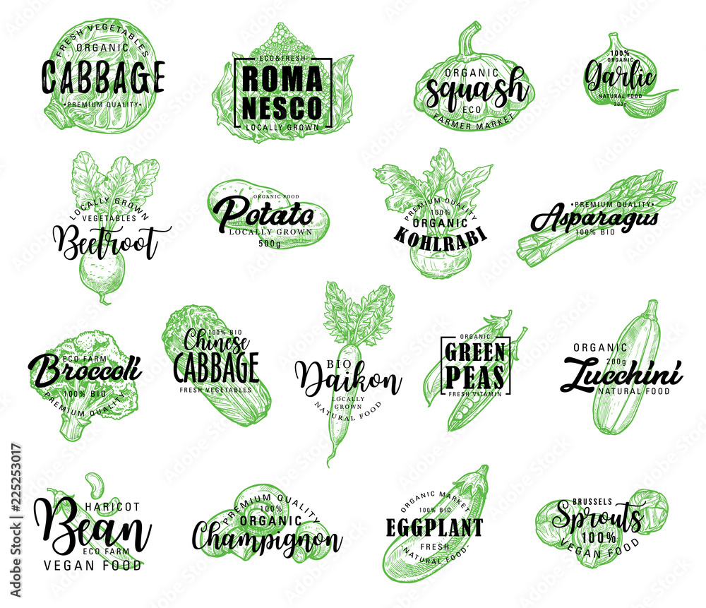 Vegetables, greenery and salads vector lettering Stock Vector | Adobe Stock