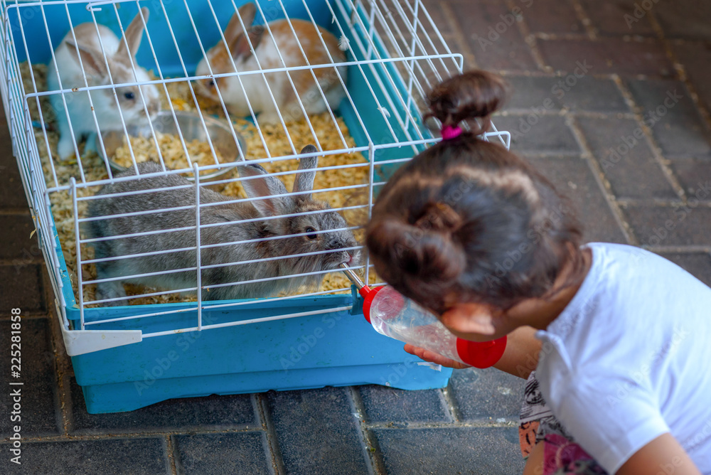 Cute little girl feeding rabbit on the farm. Toddler child give water ...
