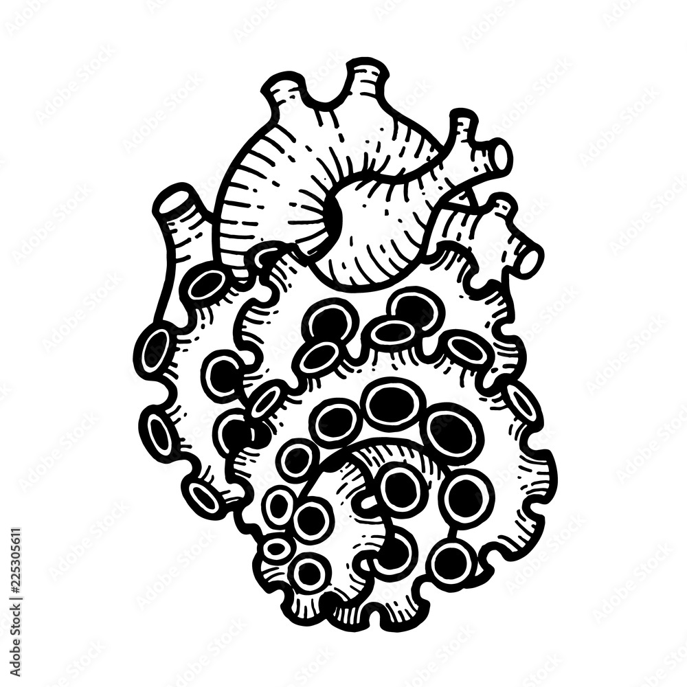 Old School Rose Tattoo With Skull Isolated Vector Illustration Stock