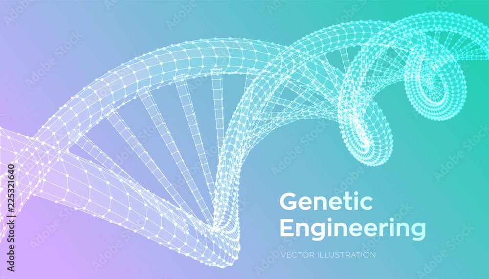 DNA sequence. Wireframe DNA molecules structure mesh. DNA code editable ...